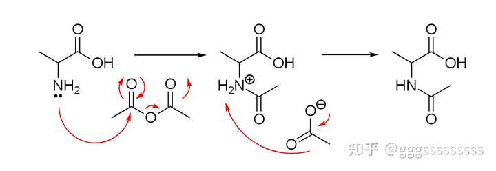 dakin west 反应详细机理？ - 知乎