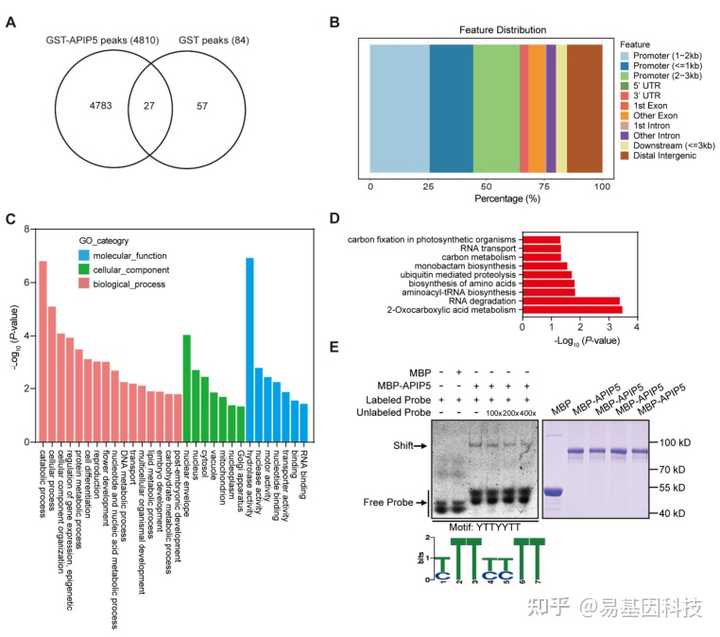 chip-seq分析中，peaks是代表什么？ - 知乎