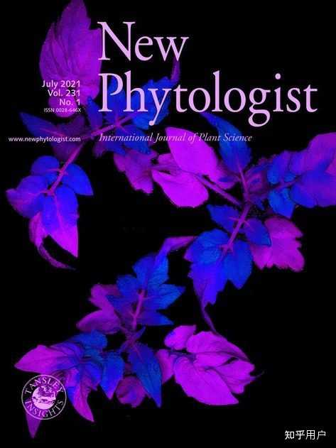New Phytologist是什么等级的生物科学杂志？ - 知乎