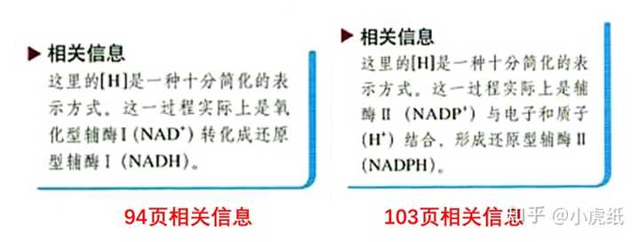 NADPH 和 NADH 是什么？ - 知乎