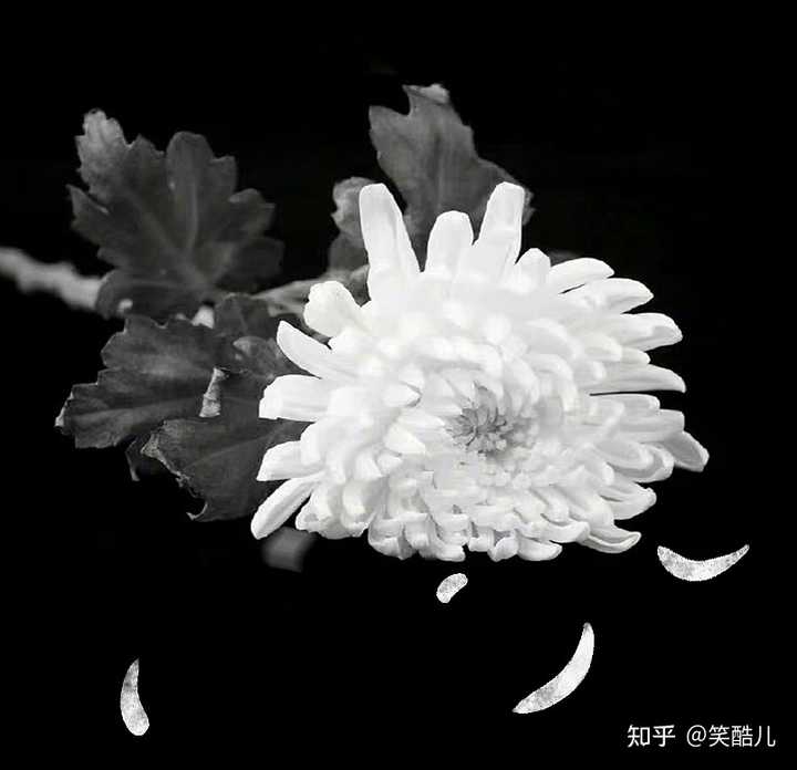 中国降半旗有多少次? - 知乎