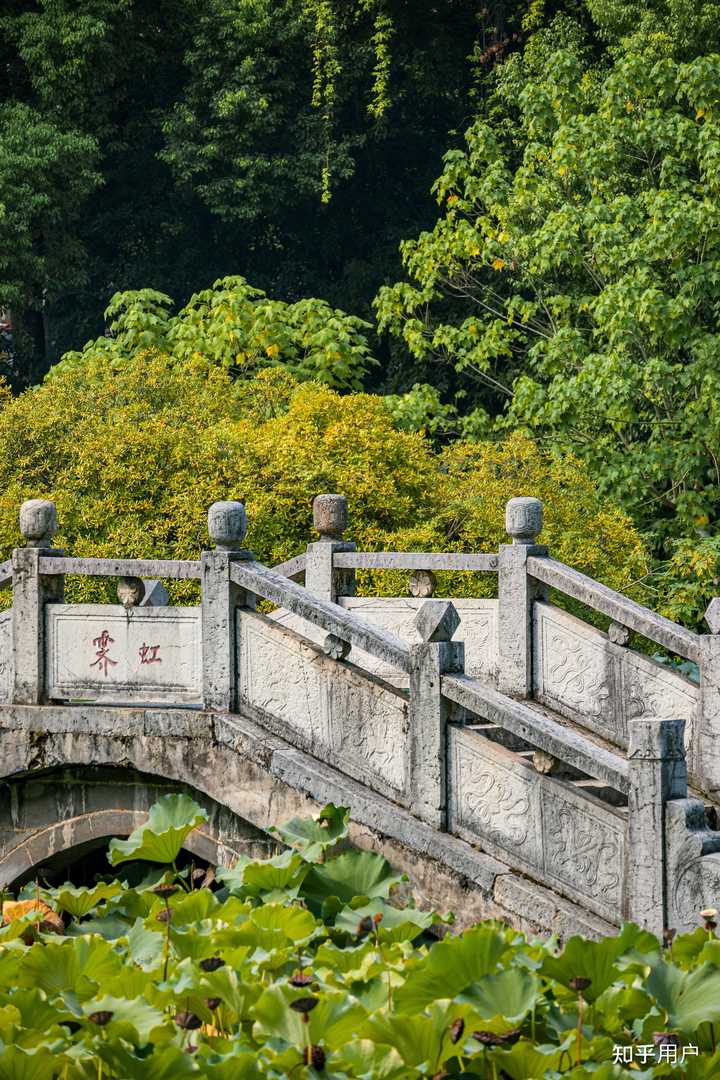 尼康z30，z50，z5哪个比较好？ - 知乎