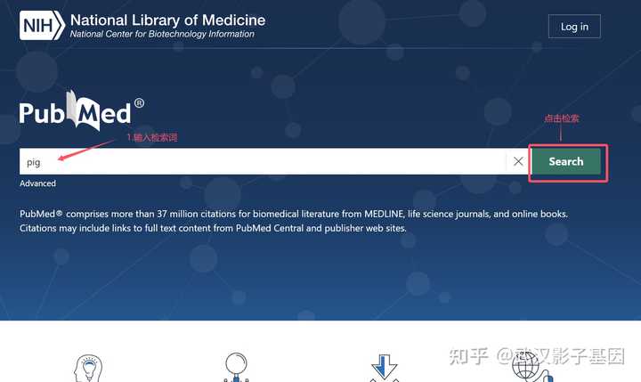 pubmed下载不了文献? - 知乎