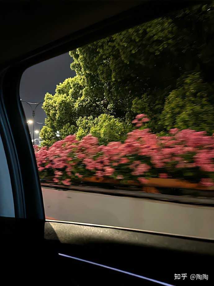 有哪些一见钟情的旅游短句？ - 知乎