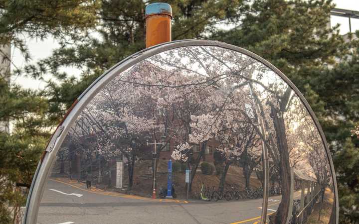 如何评价韩国科学技术院（KAIST）？ - 知乎