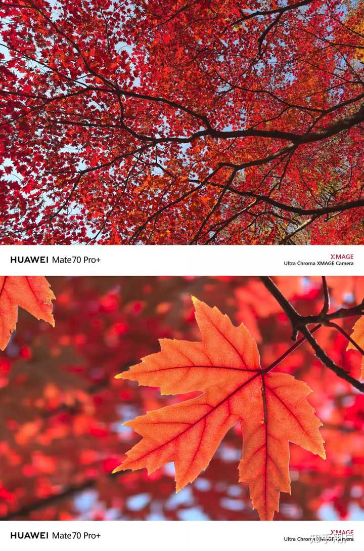 如何看待华为 Mate 70 系列首发的红枫原色摄像头，以及视频能力的跨越式升级？ - 知乎