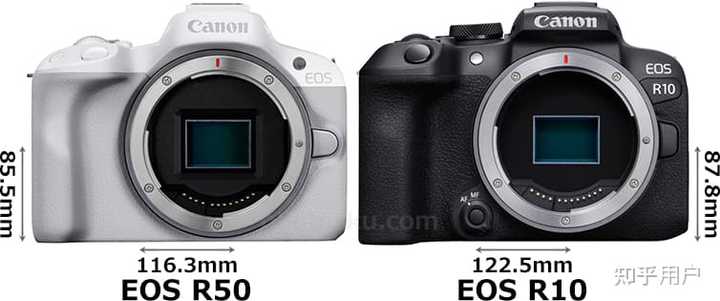新手选择佳能r10还是r50？ - 知乎