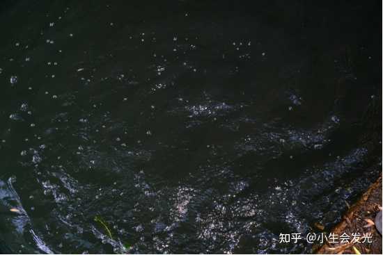 智云新出的WB3S和WB3有啥区别？ - 知乎