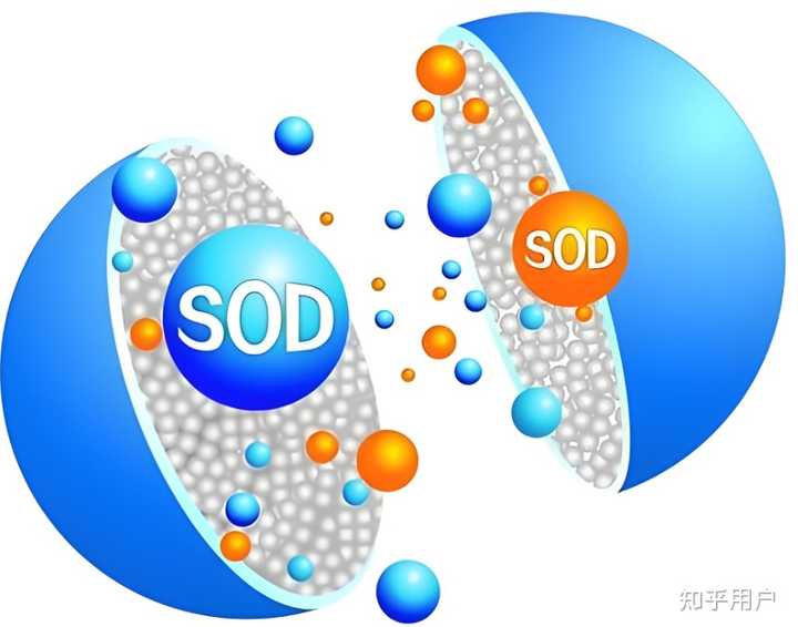 超氧化物歧化酶（Sod）是什么？ - 知乎