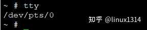 Linux 中的 console、terminal、tty、pty、pts 有哪些区别？ - 知乎
