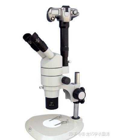 显微镜的类型和作用有哪些？ - 知乎