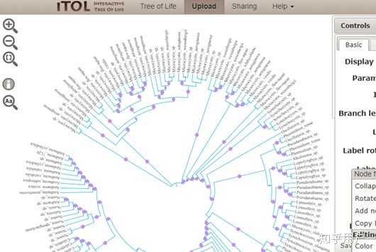 如何用itol做出漂亮的进化树？ - 知乎