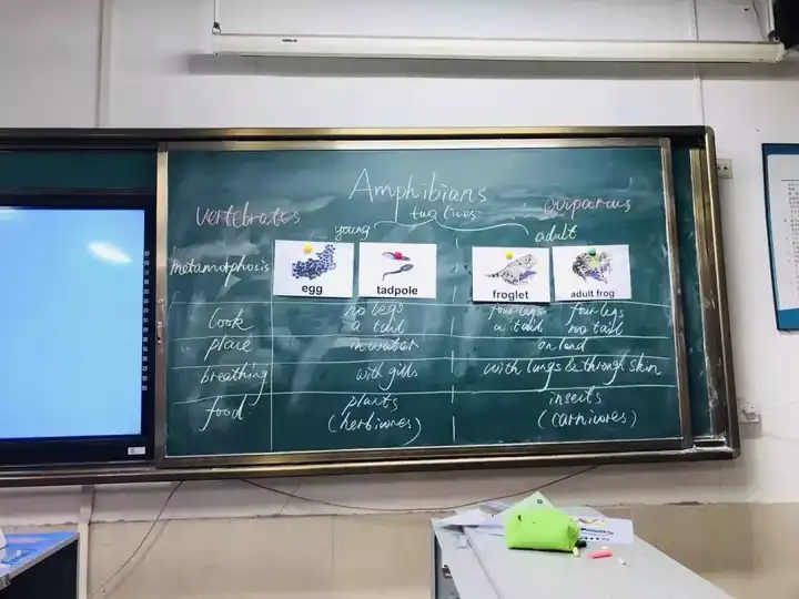 什么样的教学才是CLIL教学法，如何运用？ - 知乎