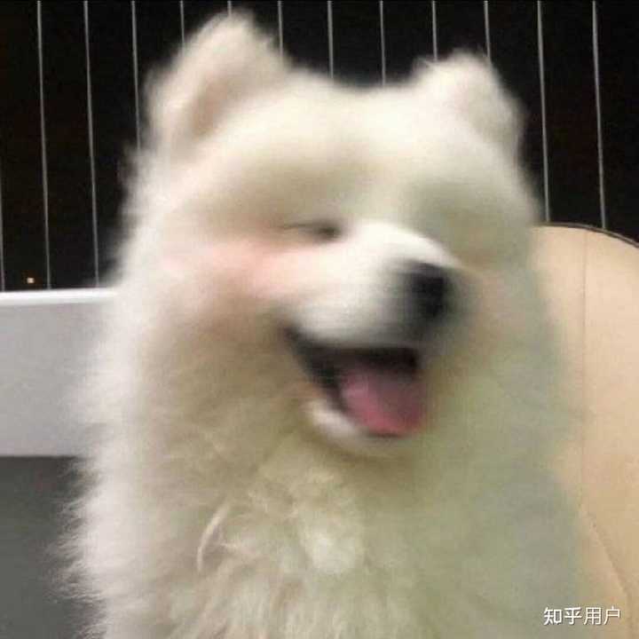 有没有同样被高德地图订酒店坑的？ - 知乎