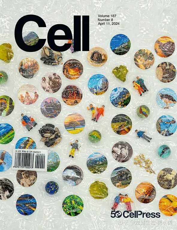 如何评价Cell Reports这个杂志？ - 知乎