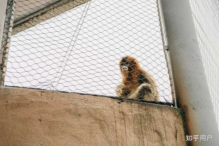 尼康Z40f2和Z28f2.8选哪个? - 知乎