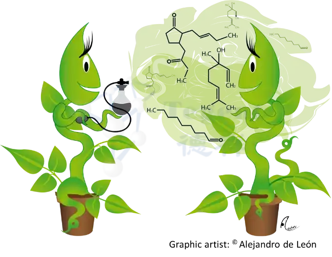 VOC是什么？怎么消除VOC？ - 知乎