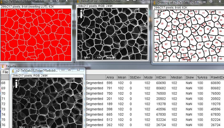 imageJ批量测量所选区域面积? - 知乎