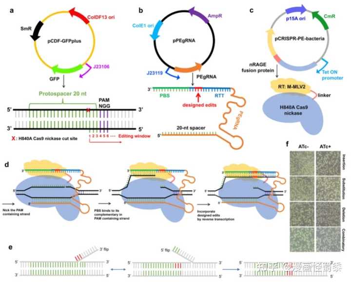 怎样提高悬浮细胞的siRNA转染效率？ - 知乎