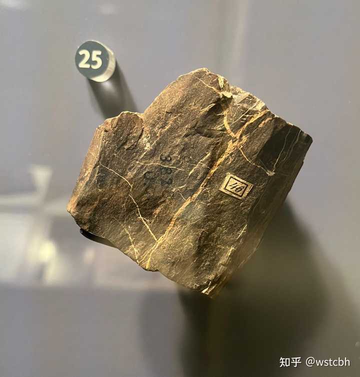 地球发展史？白垩纪，侏罗纪，三叠纪二叠纪。等等！是什么先后顺序？ - 知乎