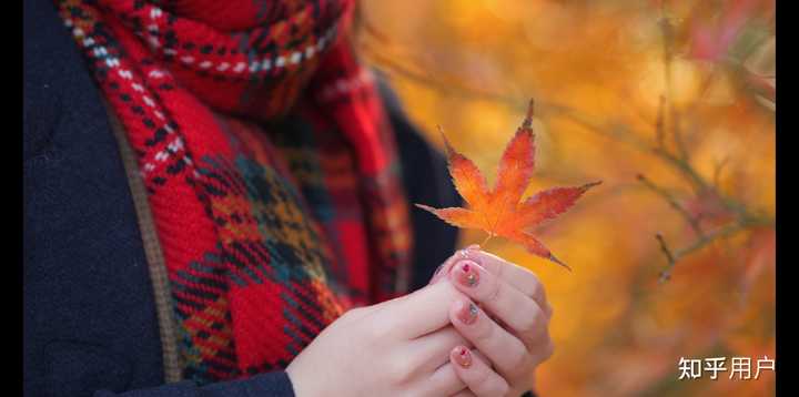 为什么手机比相机像素高那么多？但还有很多人选择相机？ - 知乎