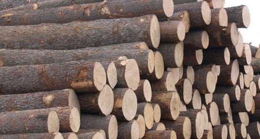 甲醛标准，日本的f4星，美国加州carb NAF？ - 知乎