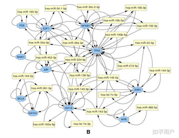 总能刷到生信分析，生信分析真的有这么重要吗，它到底有什么用？ - 知乎