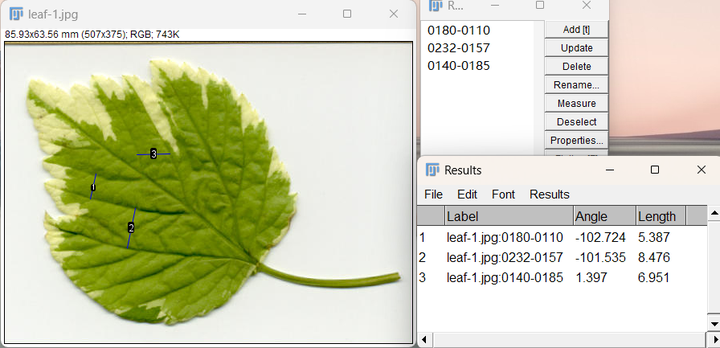 imageJ批量测量所选区域面积? - 知乎