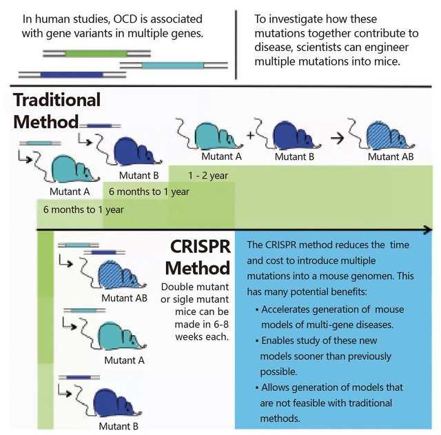 CRISPR/Cas9技术是什么？ - 知乎