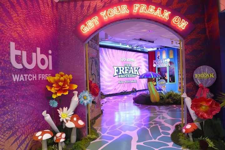 Tubi TV是一家什么样的公司？ - 知乎