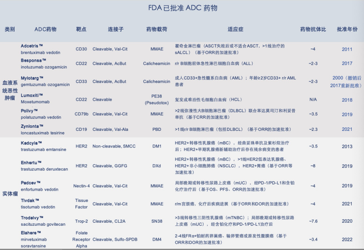 什么是抗体偶联药物 ADC？ - 知乎