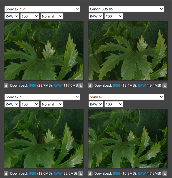 A7R5和EOS R5谁更值得入手？ - 知乎