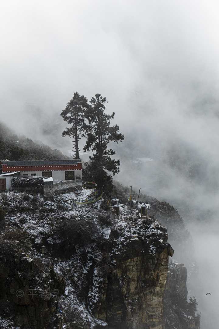 佳能R62镜头买佳能R62带了一个24-105 银圈狗头，有必要入手红圈24-105 F4吗? - 知乎