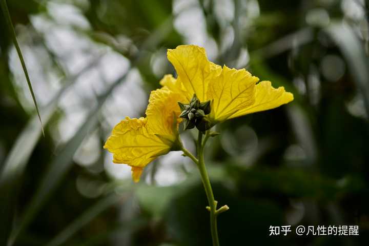 新手买a7r5还是a7c2? - 知乎