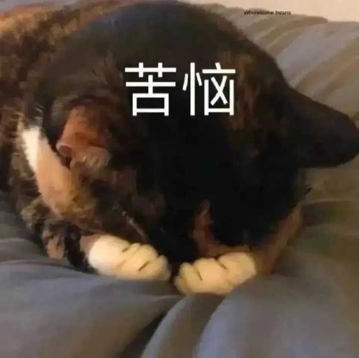 QS排名的依据是什么？采用了哪些指标呢？ - 知乎