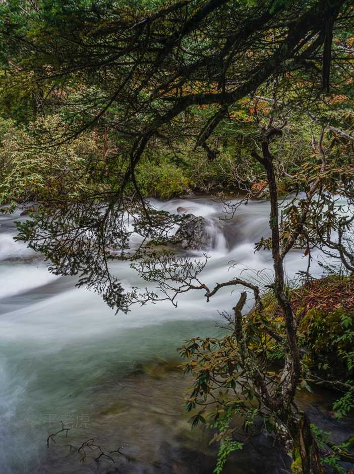 哈苏 X2D 100C 一亿像素中画幅相机评测，你对该产品有哪些评价？ - 知乎