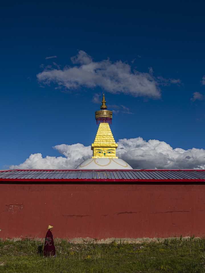 纯拍照 微单佳能 r8 r62选哪个? - 知乎