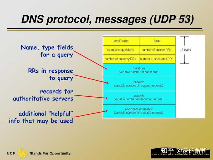 udp53端口作用是什么？ - 知乎