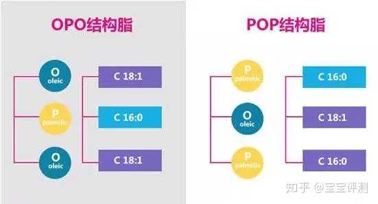 都说OPO配方奶粉好，请问OPO究竟是什么呢？ - 知乎
