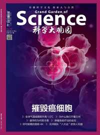 知乎盐选 | 突破性别枷锁中科院实现哺乳动物孤雄生殖