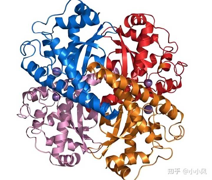 超氧化物歧化酶（Sod）是什么？ - 知乎