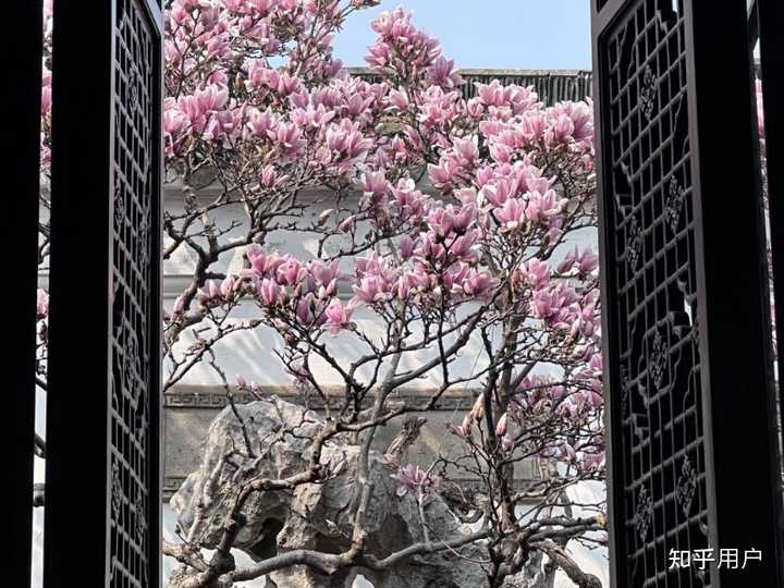 认知功能自评量表 AD8 的使用方法有哪些呢？ - 知乎