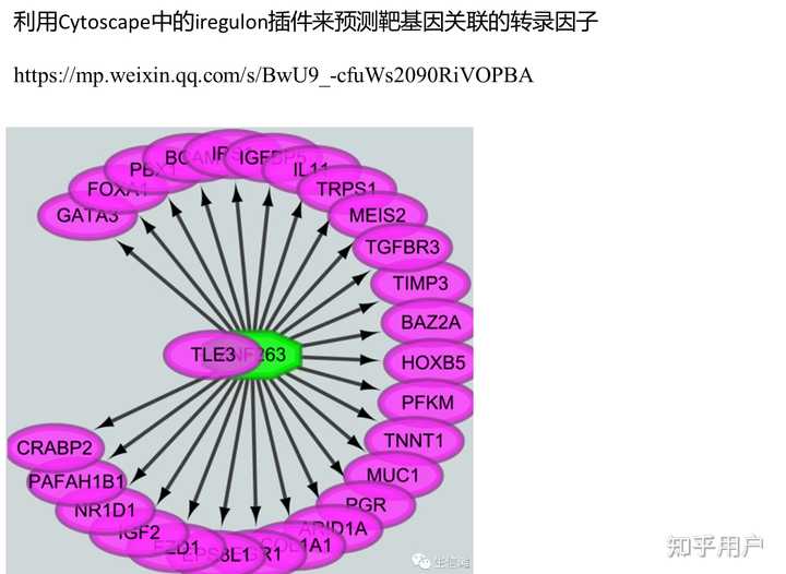 已知基因，如何找与其互作的转录因子？ - 知乎