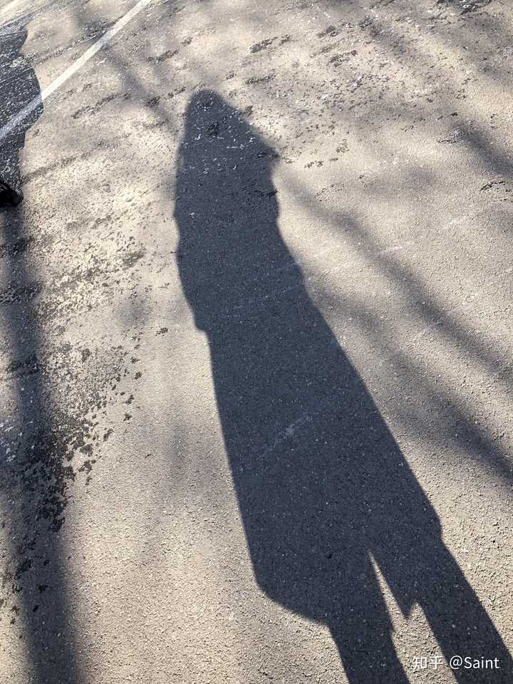 172+ 的高个子女生是一种什么样的感觉？ - 知乎