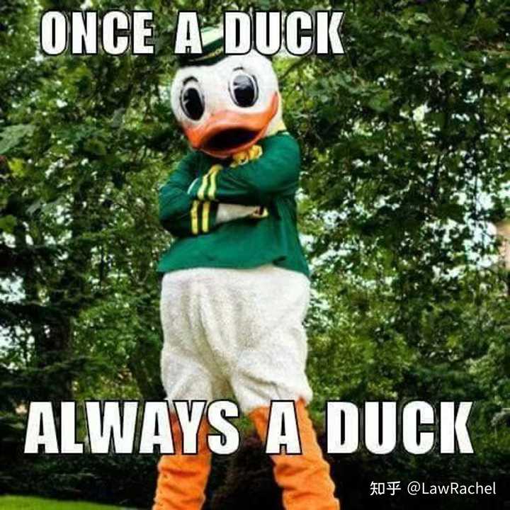 如何评价DuckDB? - 知乎