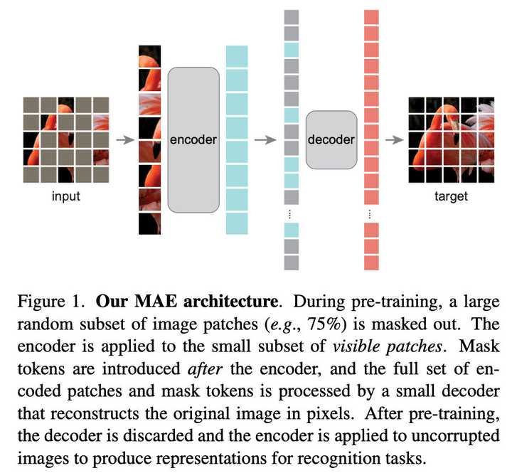 如何看待何恺明最新一作论文Masked Autoencoders？ - 知乎