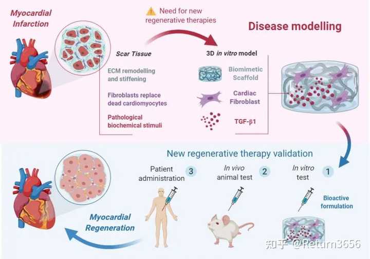 现在很多sci的期刊都需要Graphical Abstract，如何制作？ - 知乎