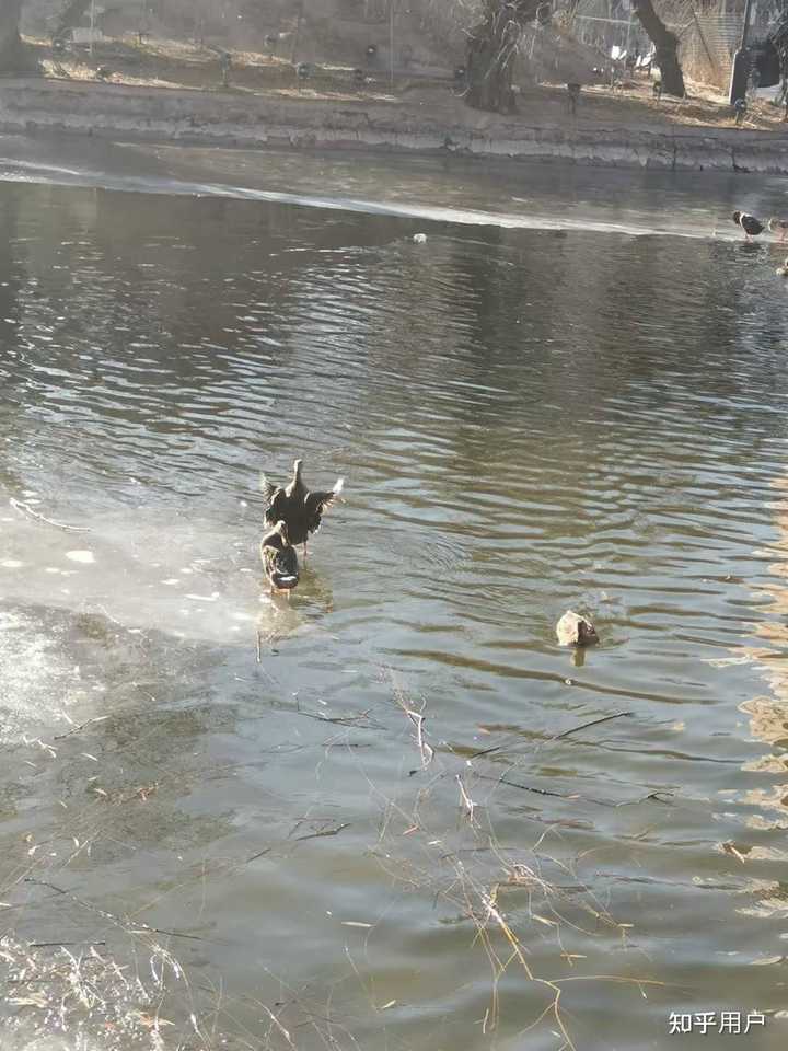 骨气来自于哪里？ - 知乎