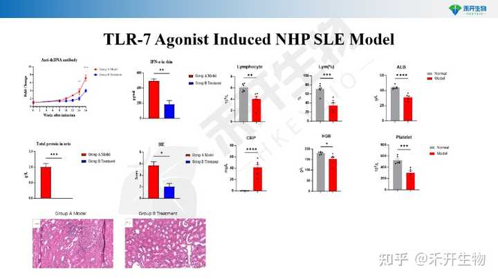 什么是白细胞介素23 (IL-23)？ - 知乎