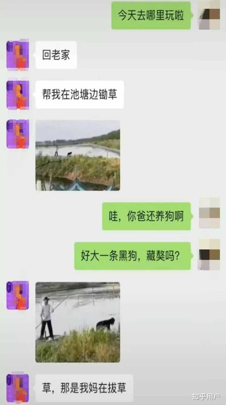 你有哪些超级搞笑的图片？ - 知乎